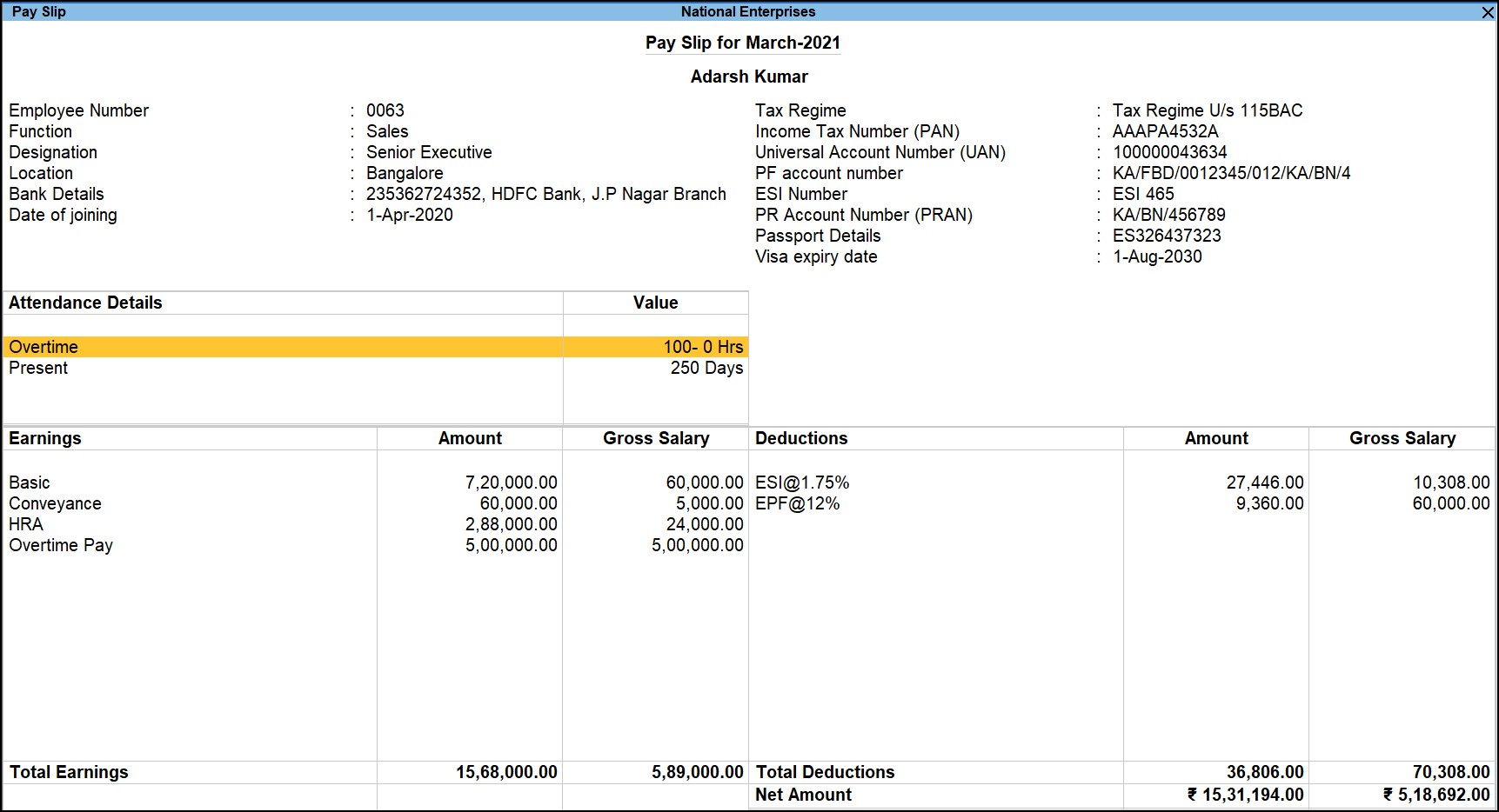 Format For Drivers Salary Slip Software Graphicbpo Format For Drivers Salary Slip Software Graphicbpo