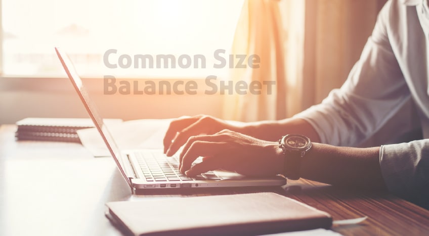 Common Size Balance Sheet Definition Analysis Format Example Tally Solutions